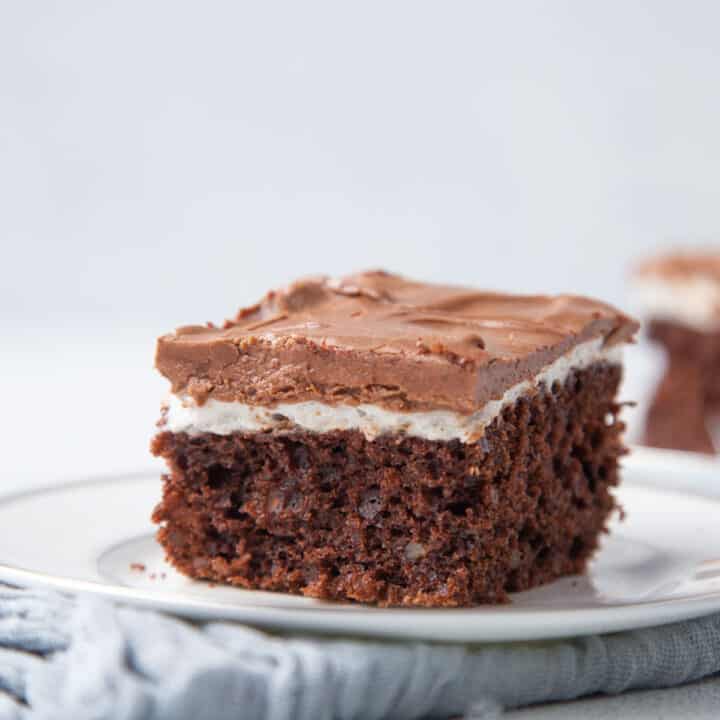 Easy Mississippi Mud Cake (with Cake Mix) - Gift of Hospitality