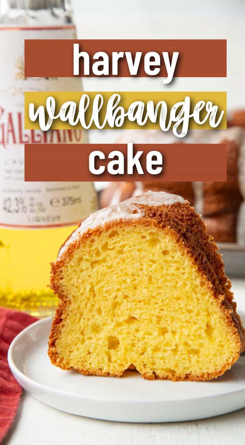 Harvey Wallbanger Cake - Gift of Hospitality