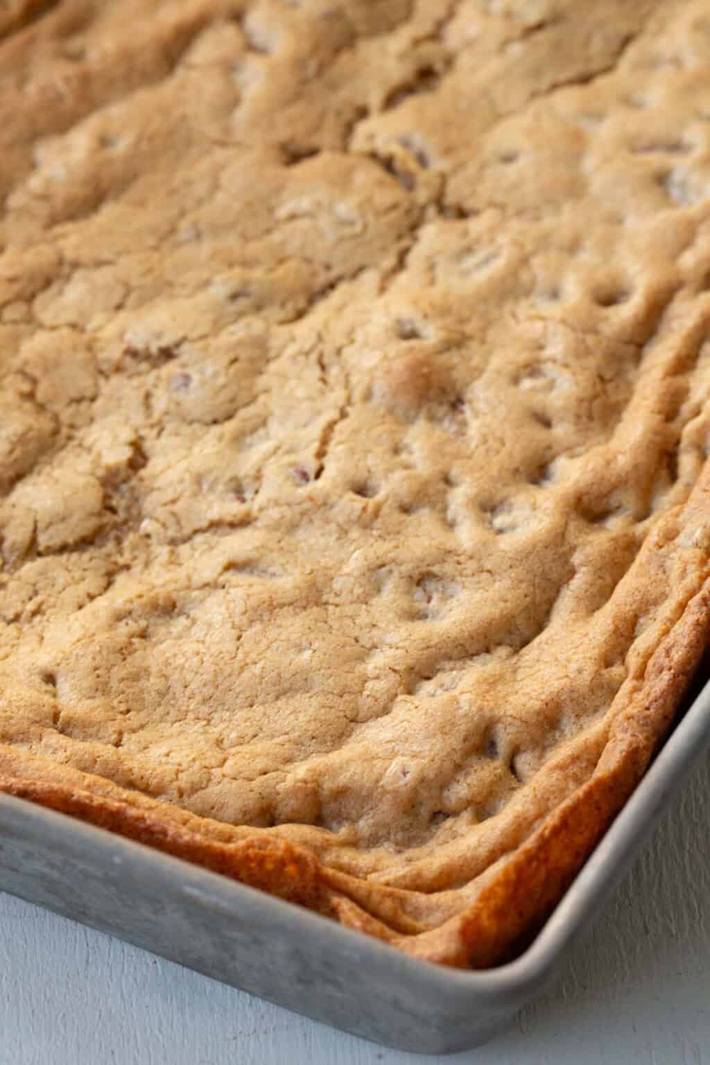 Really Good Classic Blondies - Gift of Hospitality